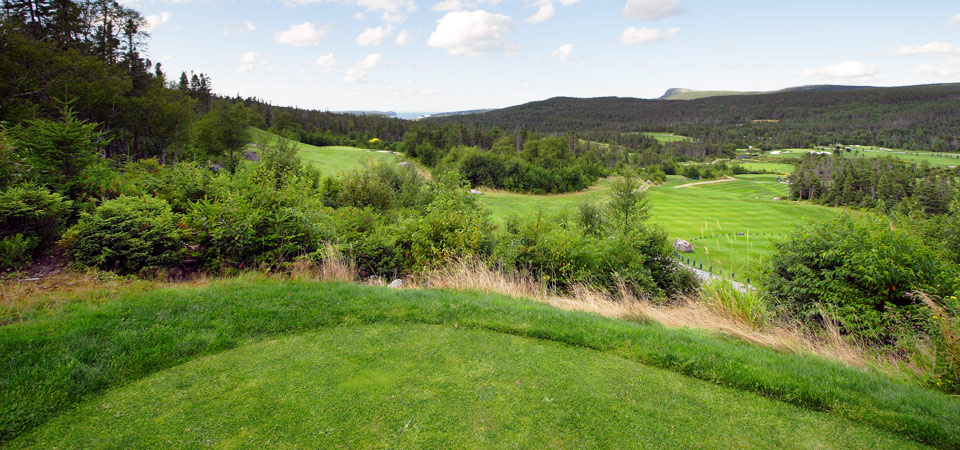 The Willows at Holyrood – Golf Course in Holyrood, NL